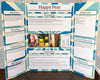 Science Fair Trifold Display Boards | Free Templates – My Science Board